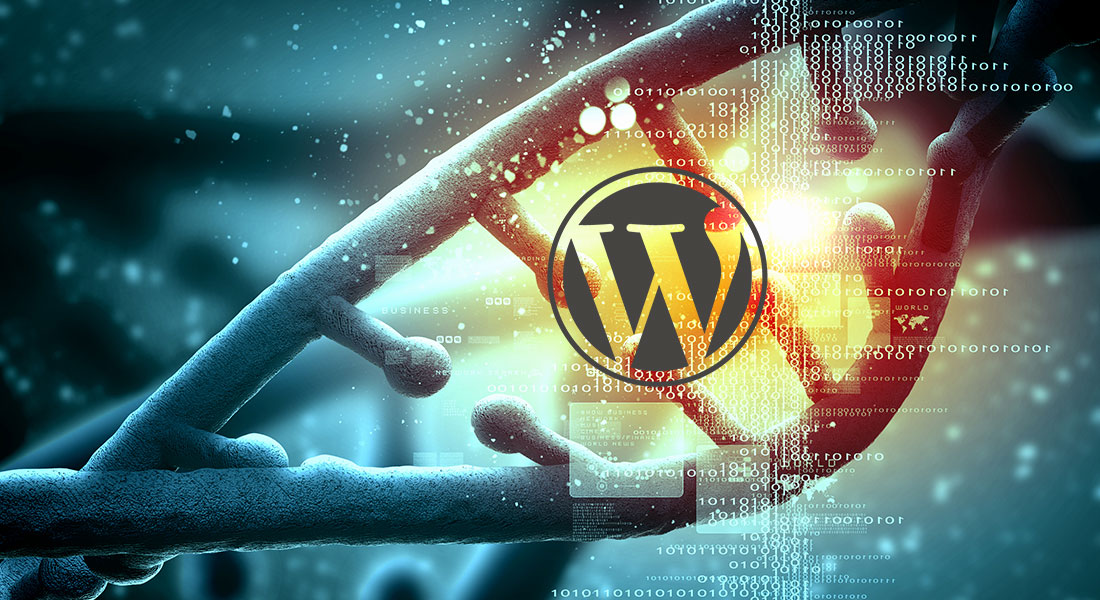 Five Ways To Get More Out Of Your WordPress Website WPsitehelpers